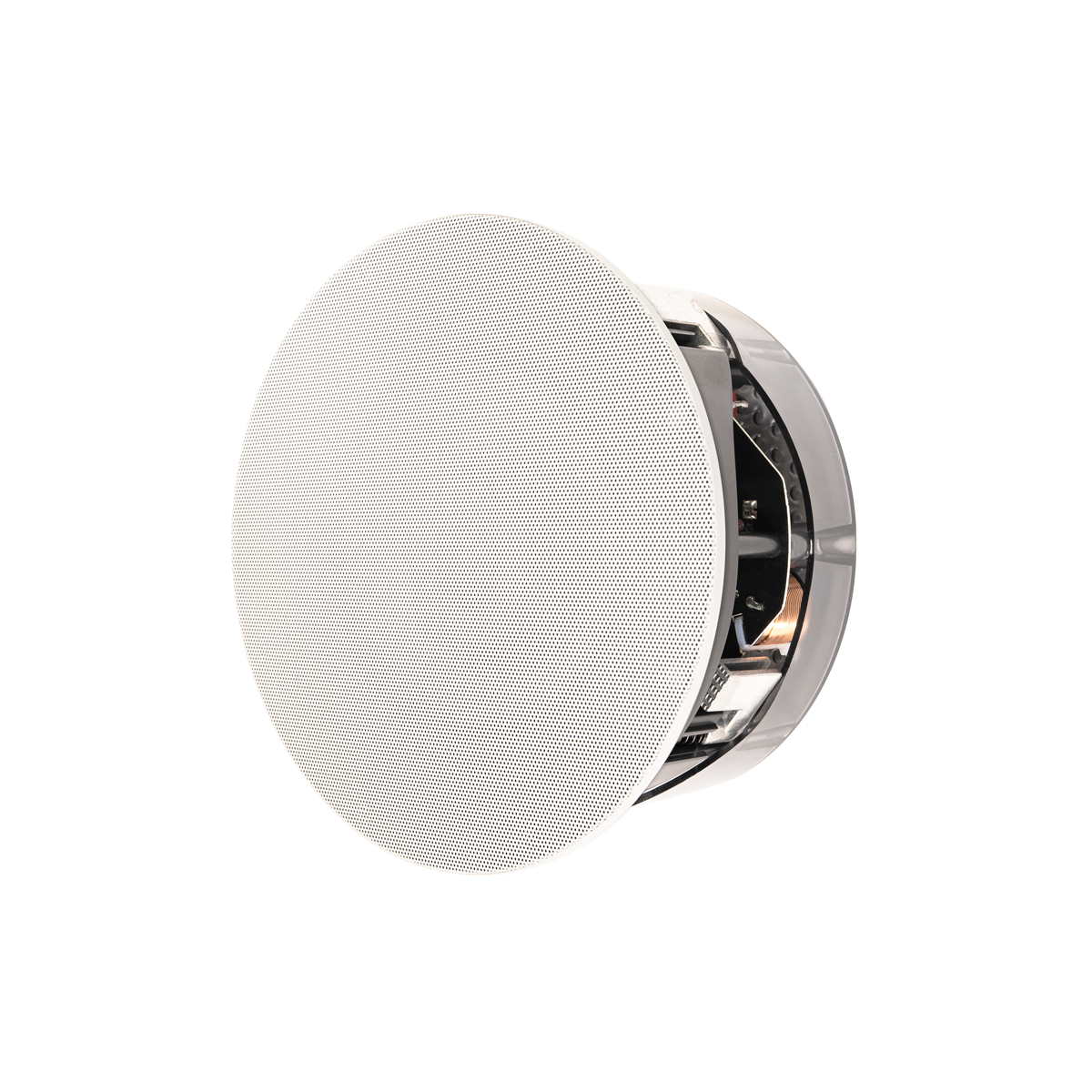 Pro P65-RX v2 | SW10267